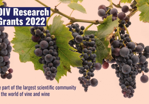 OIV - Organización Internacional de la Viña y el Vino